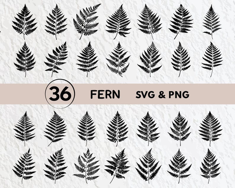 Fern Silhouette: SVG, PNG Clipart Bundle (digital Download) - Etsy