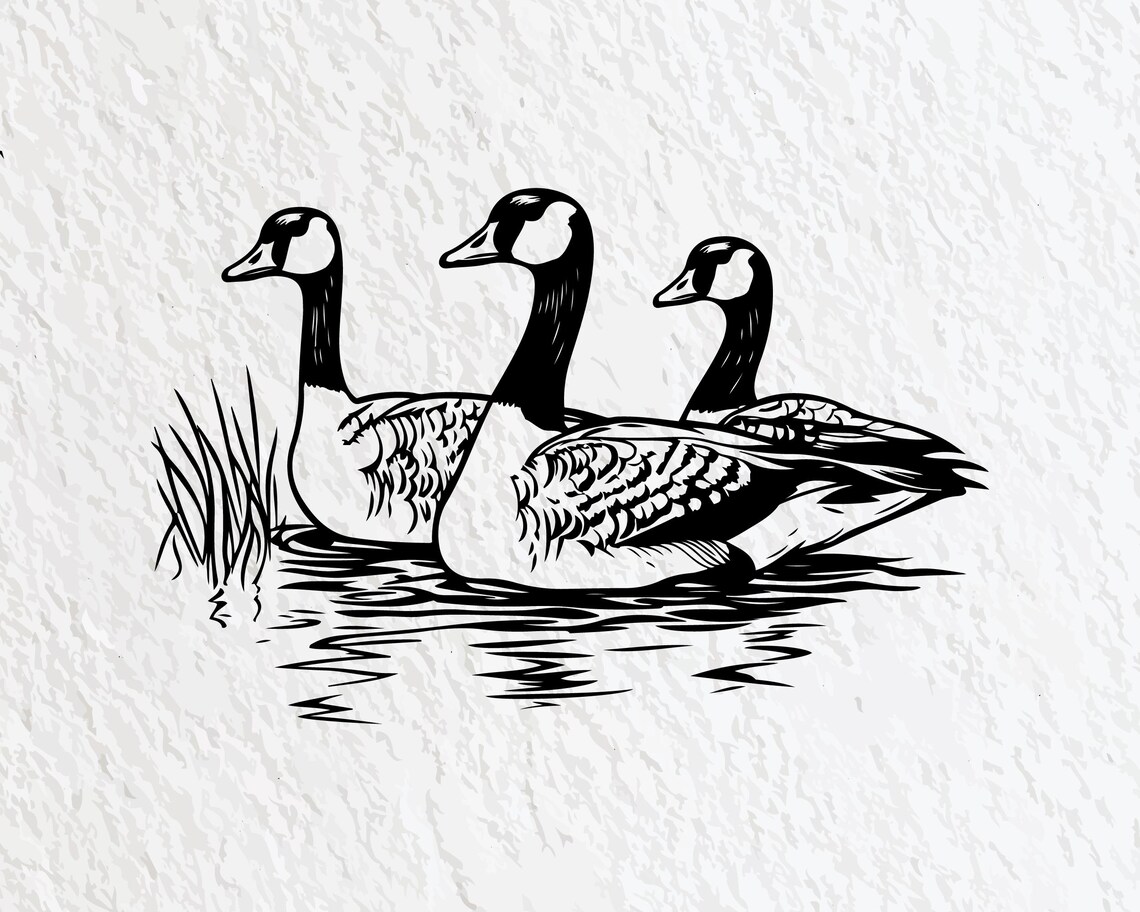 Canadian Goose Svg Bundle, Canadian Goose Silhouette, Canadian Goose ...