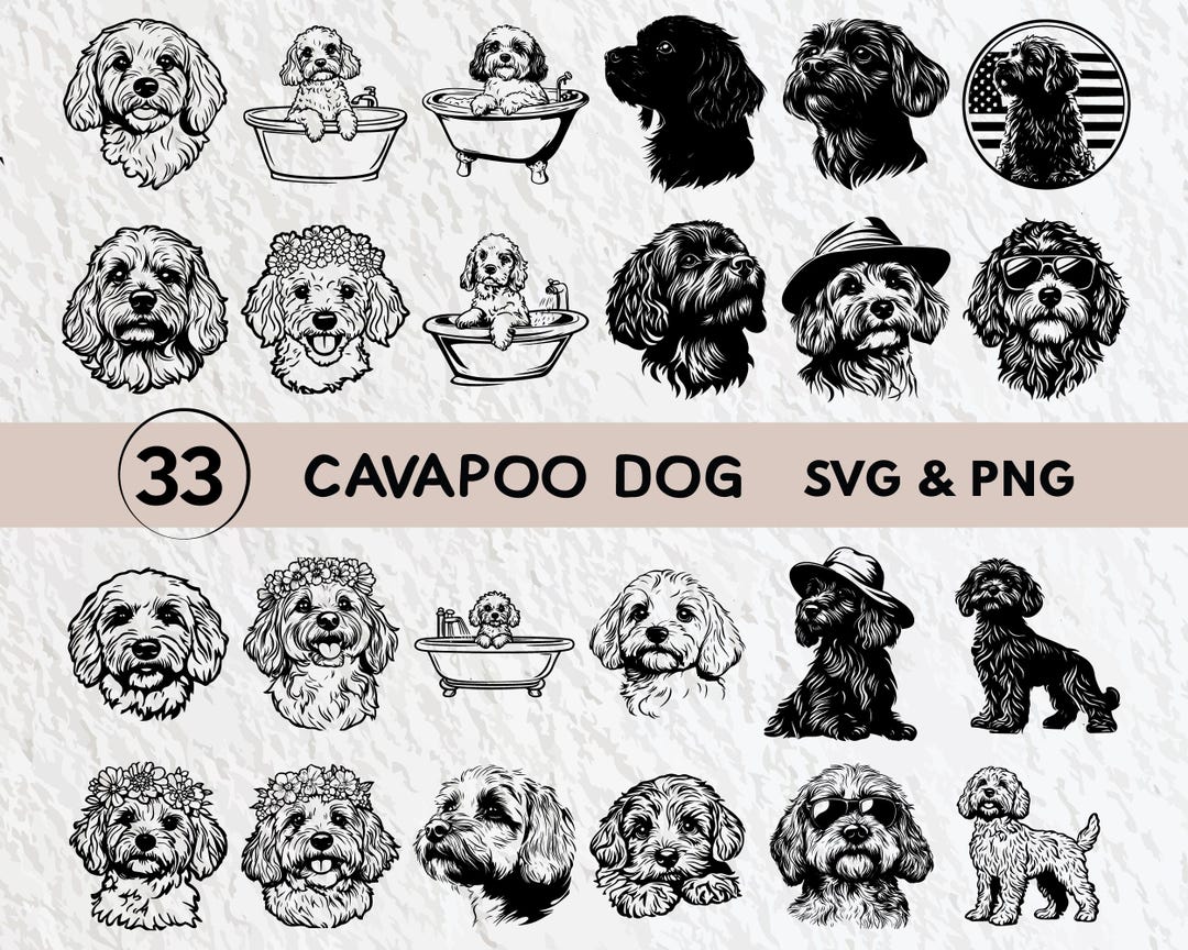 Cavapoo Dog Svg Bundle, Cavapoo Dog Silhouette, Cavapoo Dog Clipart Png ...