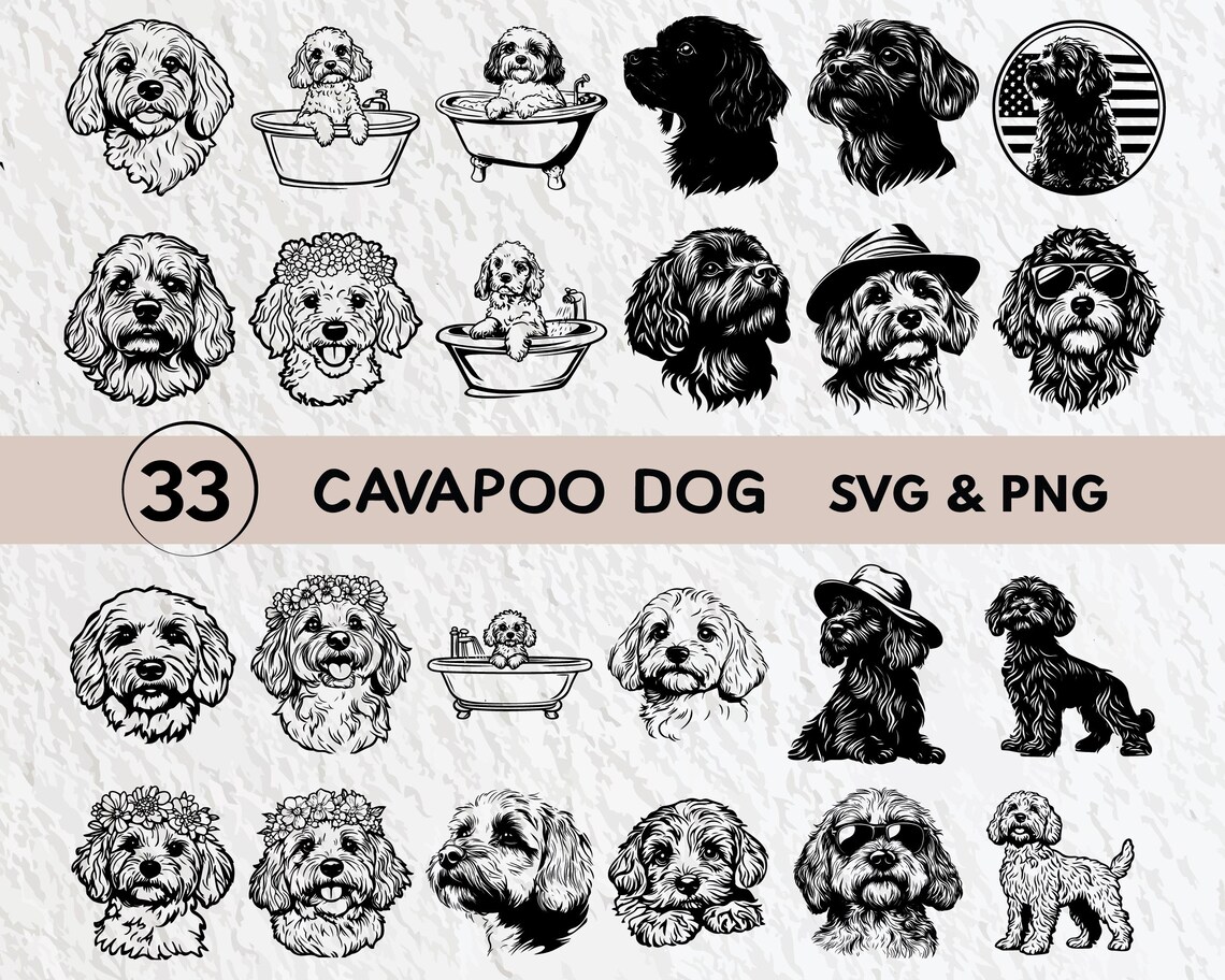 Cavapoo Dog Svg Bundle, Cavapoo Dog Silhouette, Cavapoo Dog Clipart Png ...