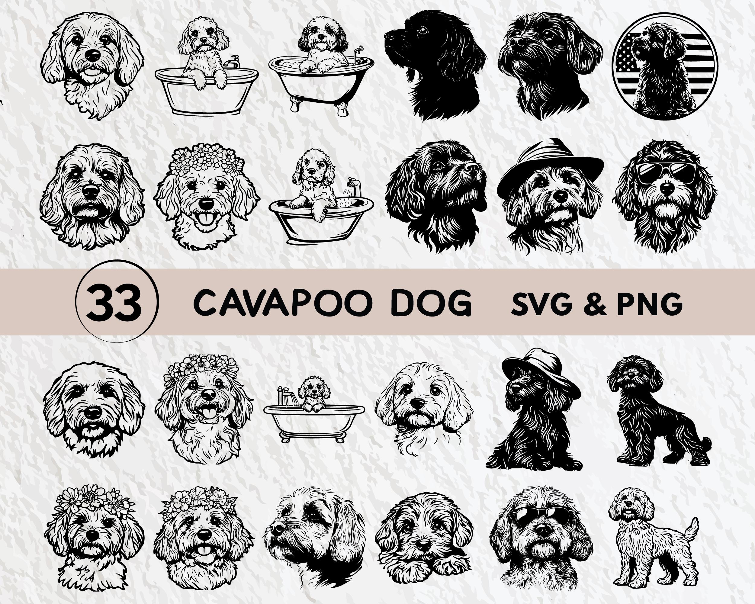 Cavapoo Dog Svg Bundle, Cavapoo Dog Silhouette, Cavapoo Dog Clipart Png ...
