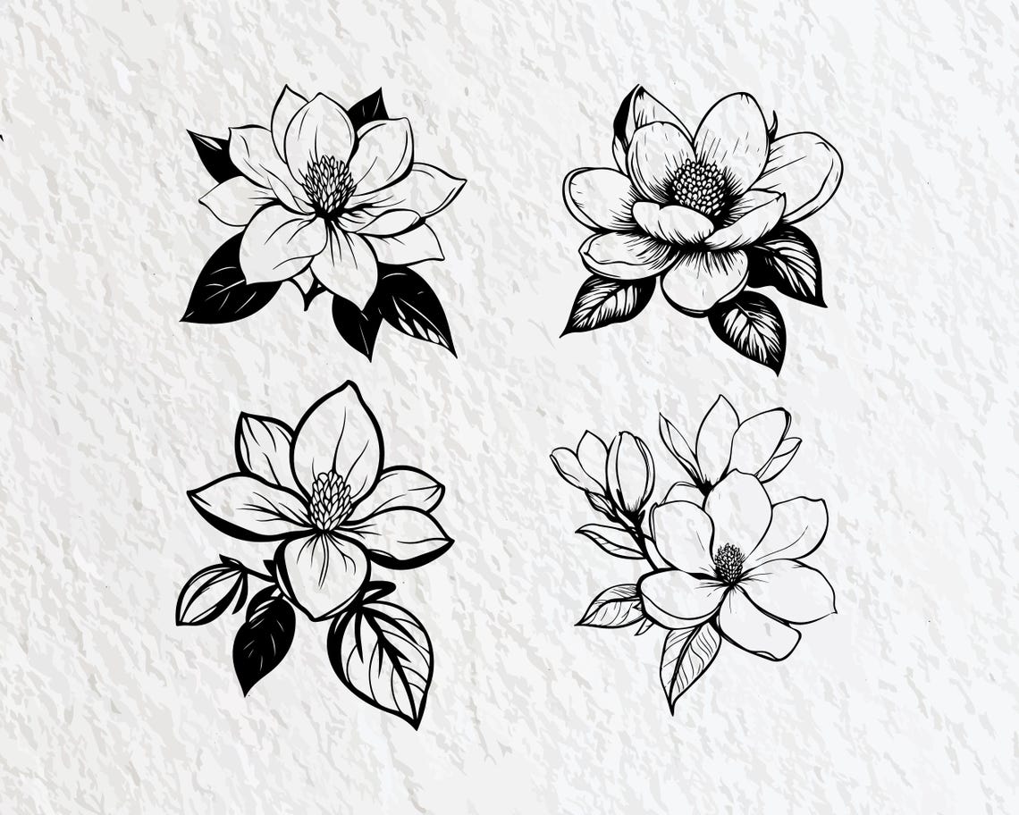 Magnolia Svg Bundle, Magnolia Silhouette, Magnolia Clipart Png ...