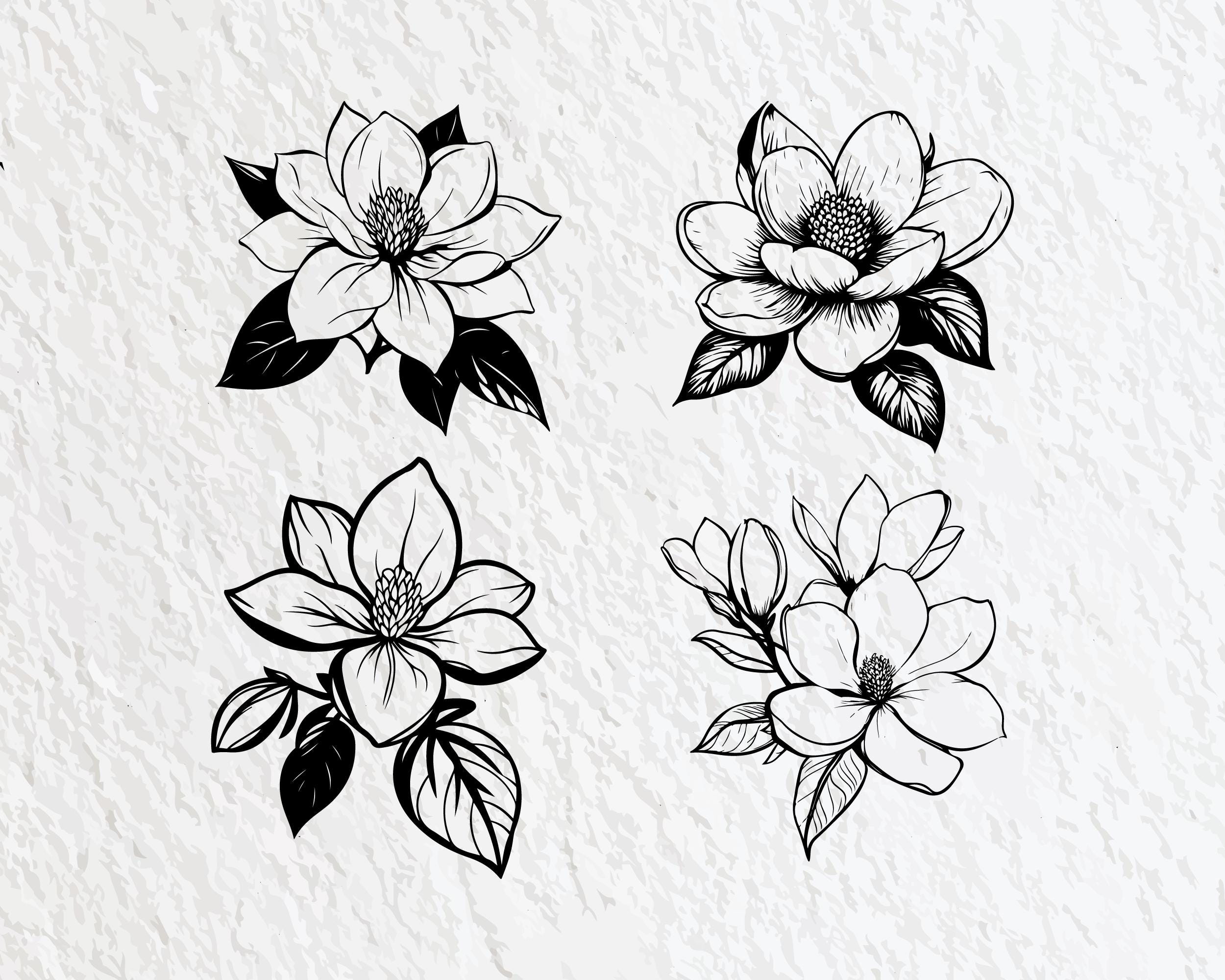 Magnolia Svg Bundle, Magnolia Silhouette, Magnolia Clipart Png ...