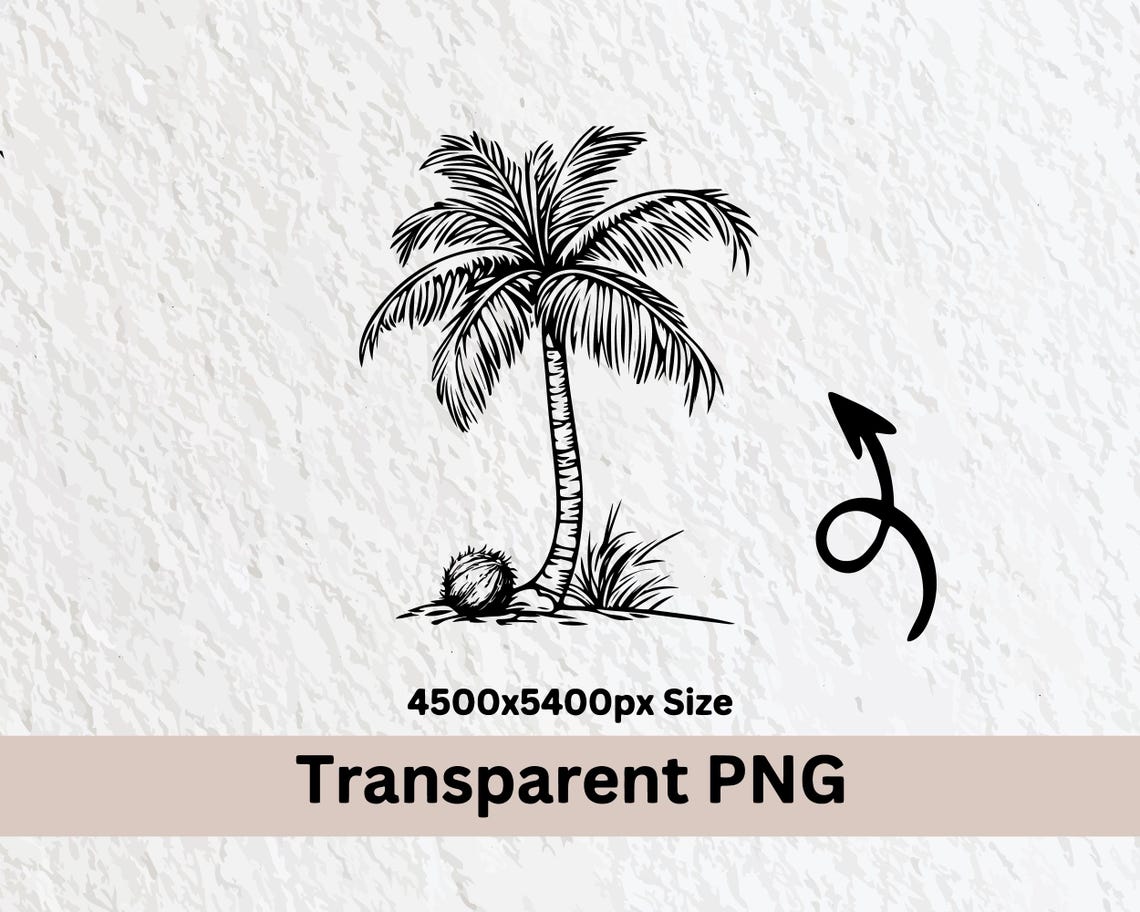 Coconut Tree SVG Bundle: Silhouette Clipart, Logo Icon (PNG, Vector) - Etsy