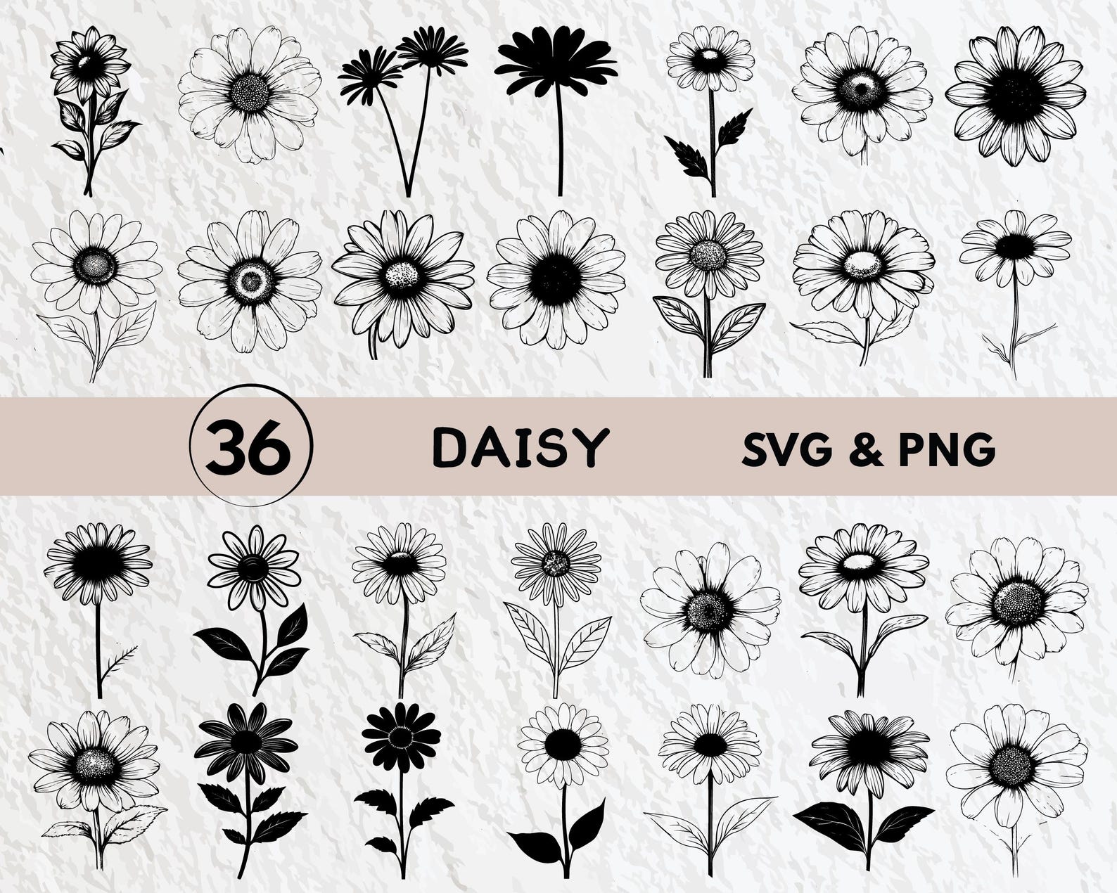 Daisy Svg Bundle, Daisy Silhouette, Daisy Clipart Png, Daisy Outline ...