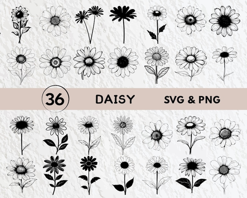 Daisy SVG Bundle: Floral Silhouette, Clipart, Vector (digital Download ...
