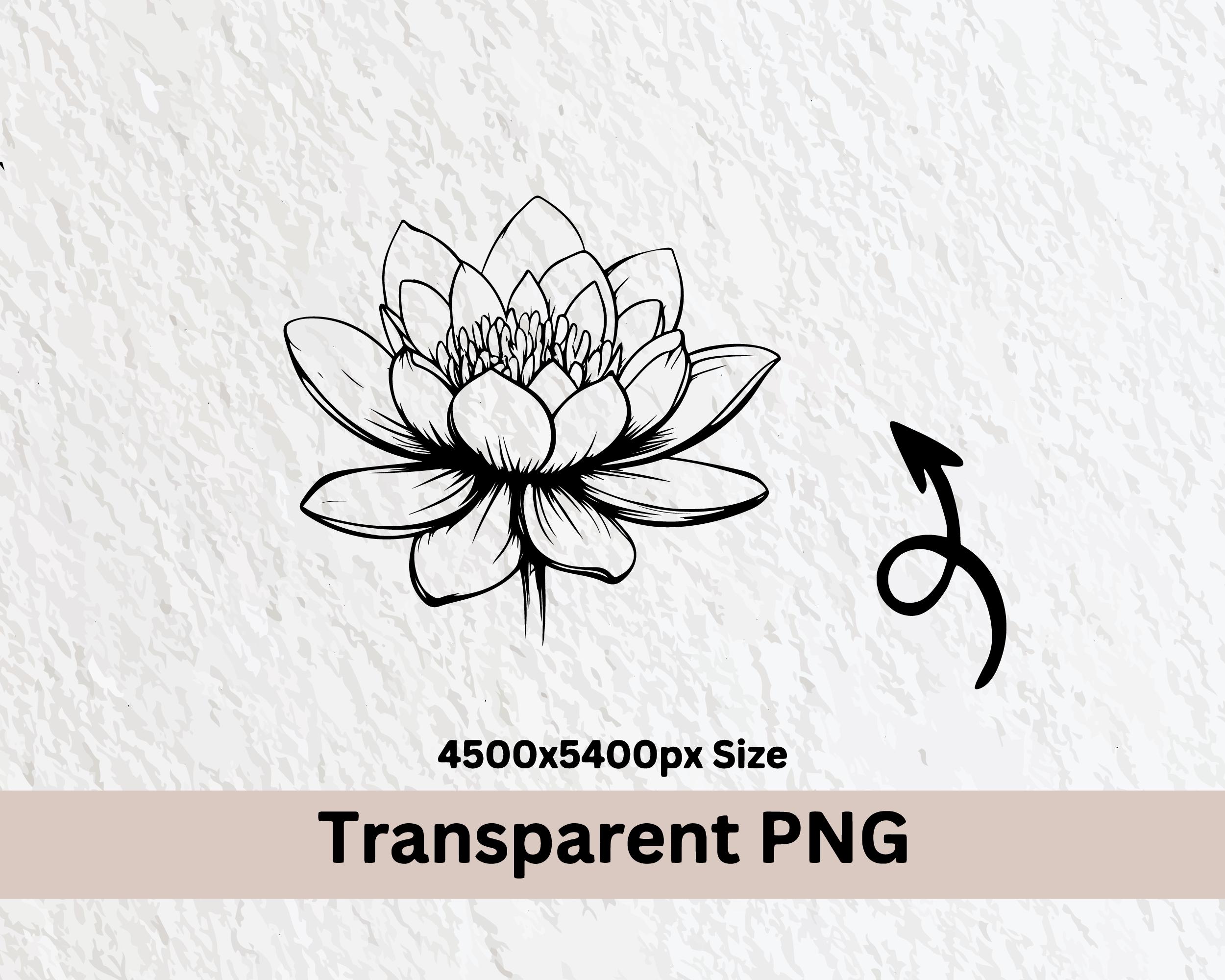 Water Lily Flower SVG Bundle: Silhouette Clipart, Vector Icon (digital ...