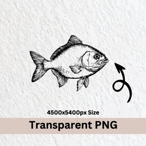 Piranha SVG Bundle: Silhouette, Clipart, Vector (PNG, Cricut Files) - Etsy