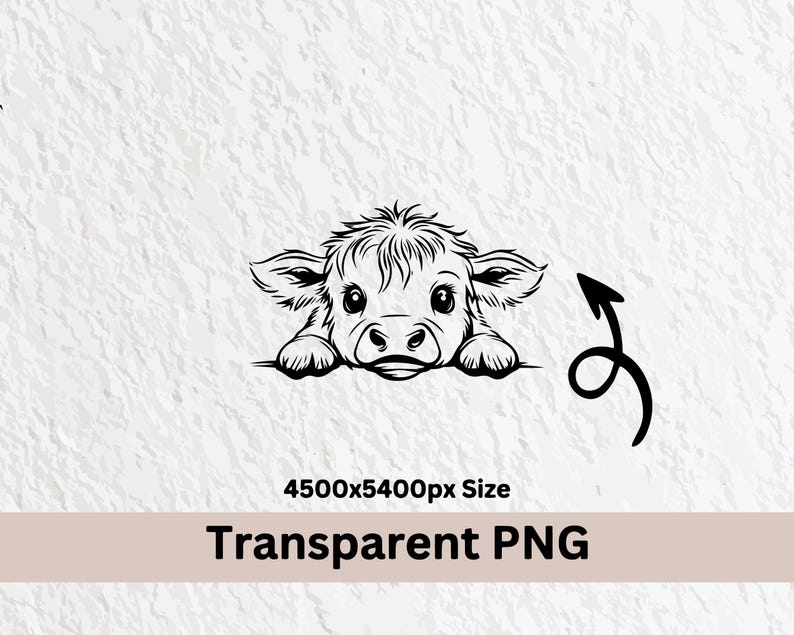 Baby Highland Cow SVG Bundle: Clipart, Silhouette, Outline (digital ...