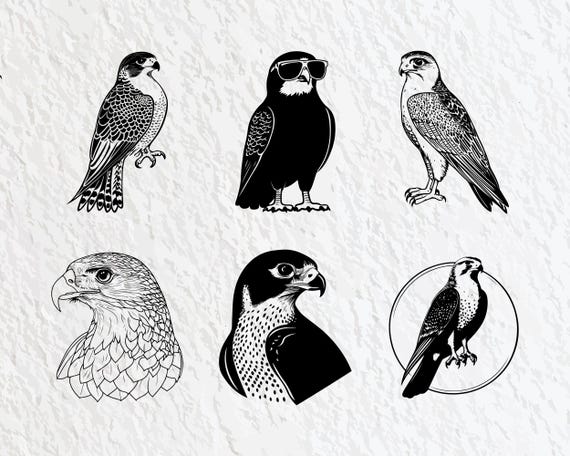 Falcon Outline