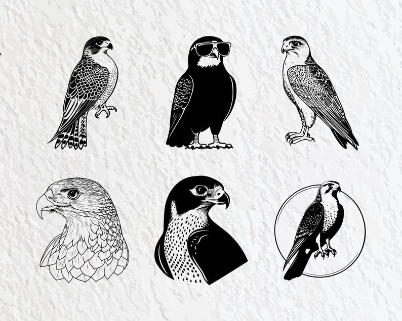 Falcon Silhouette SVG Bundle: Eagle Clipart, Vector Graphics (digital ...