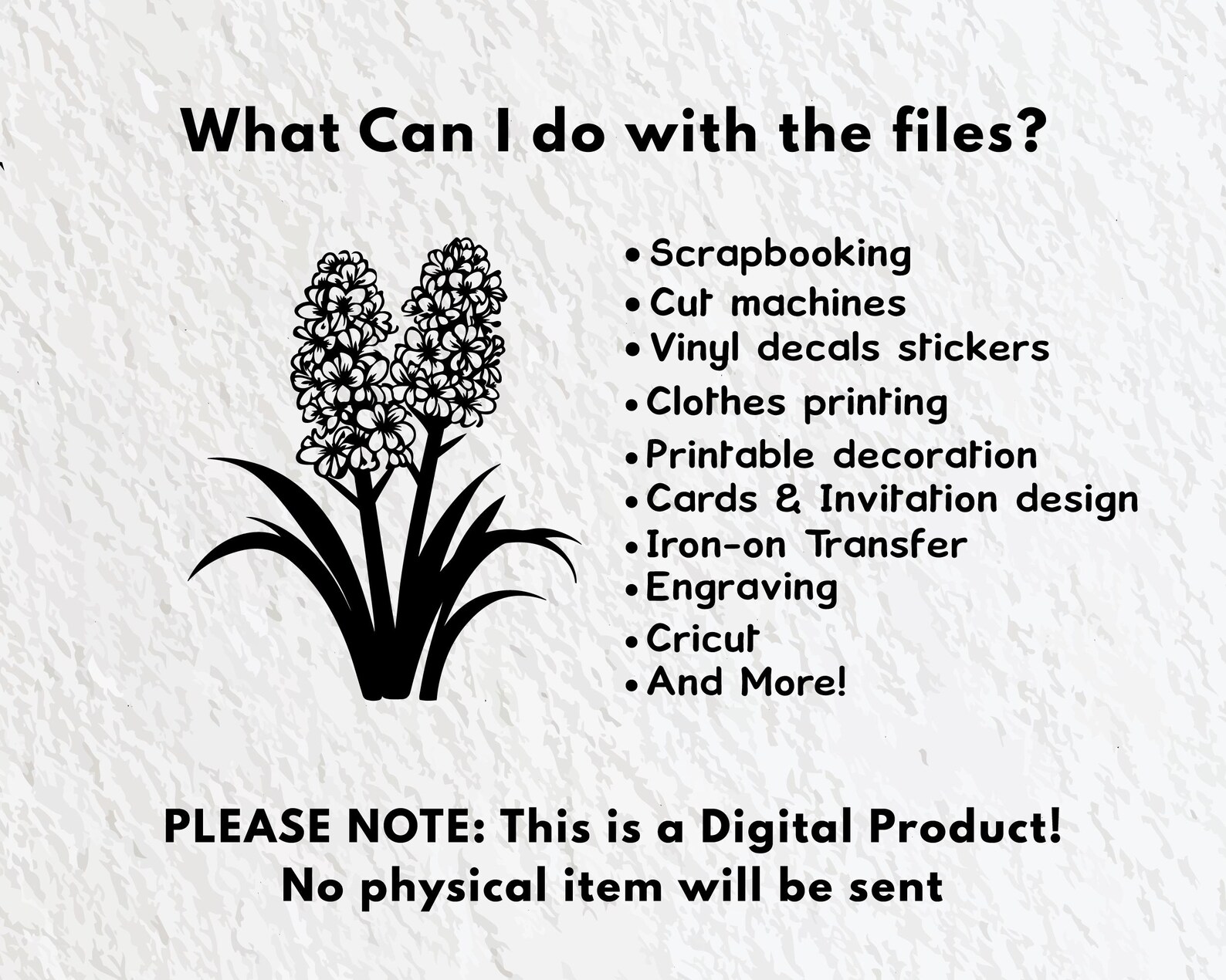 Hyacinth Svg Bundle, Hyacinth Silhouette, Hyacinth Clipart Png ...