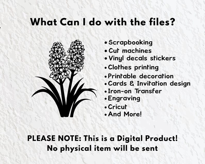 Hyacinth Svg Bundle, Hyacinth Silhouette, Hyacinth Clipart Png ...