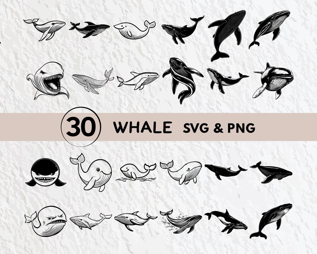 Whale Svg Bundle, Whale Silhouette, Whale Clipart Png, Whale Outline, Whale Vector, Whale Logo ...