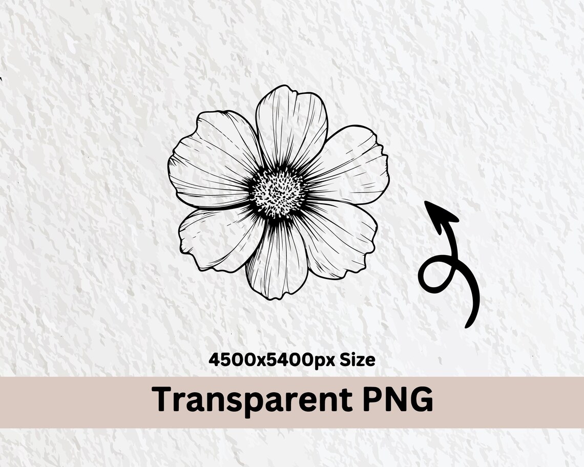 Cosmos Flower Svg Bundle, Cosmos Flower Silhouette, Cosmos Flower ...