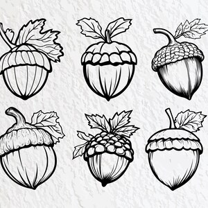 Acorn SVG Bundle: Silhouette Clipart, Vector Cut Files (PNG) - Etsy