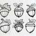 Acorn SVG Bundle: Silhouette Clipart, Vector Cut Files (PNG) - Etsy