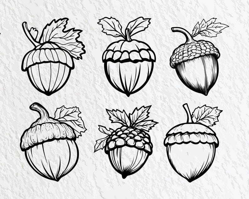 Acorn Svg Bundle, Acorn Silhouette, Acorn Clipart Png, Acorn Outline ...