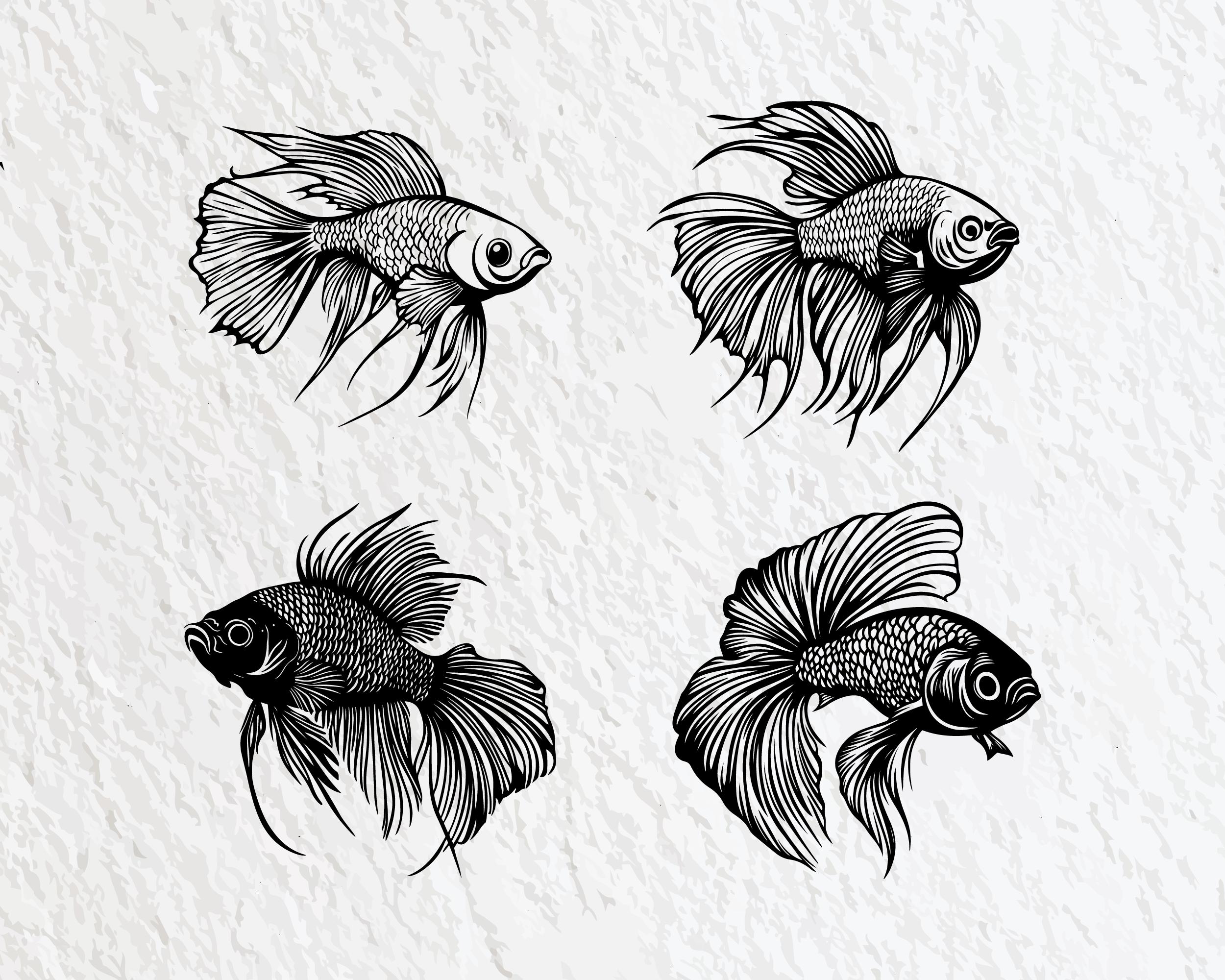 Betta Fish Svg Bundle, Betta Fish Silhouette, Betta Fish Clipart Png ...