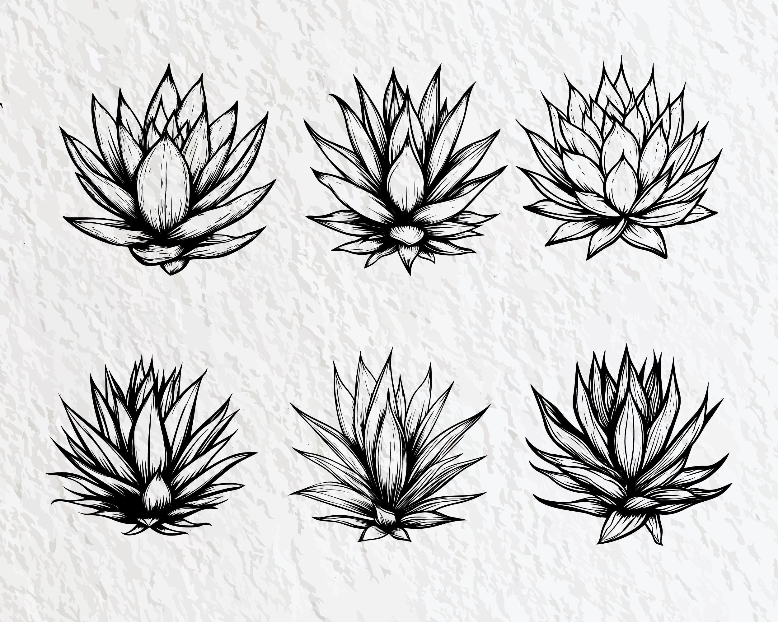 Agave SVG Bundle: Silhouette Clipart, Logo & Decal (PNG, Vector) - Etsy