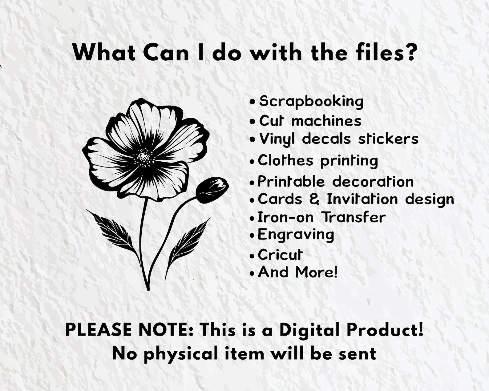 Cosmos Flower Svg Bundle, Cosmos Flower Silhouette, Cosmos Flower ...