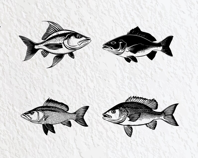 Red Drum Fish SVG Bundle: Silhouette, Clipart, Vector (digital Download ...