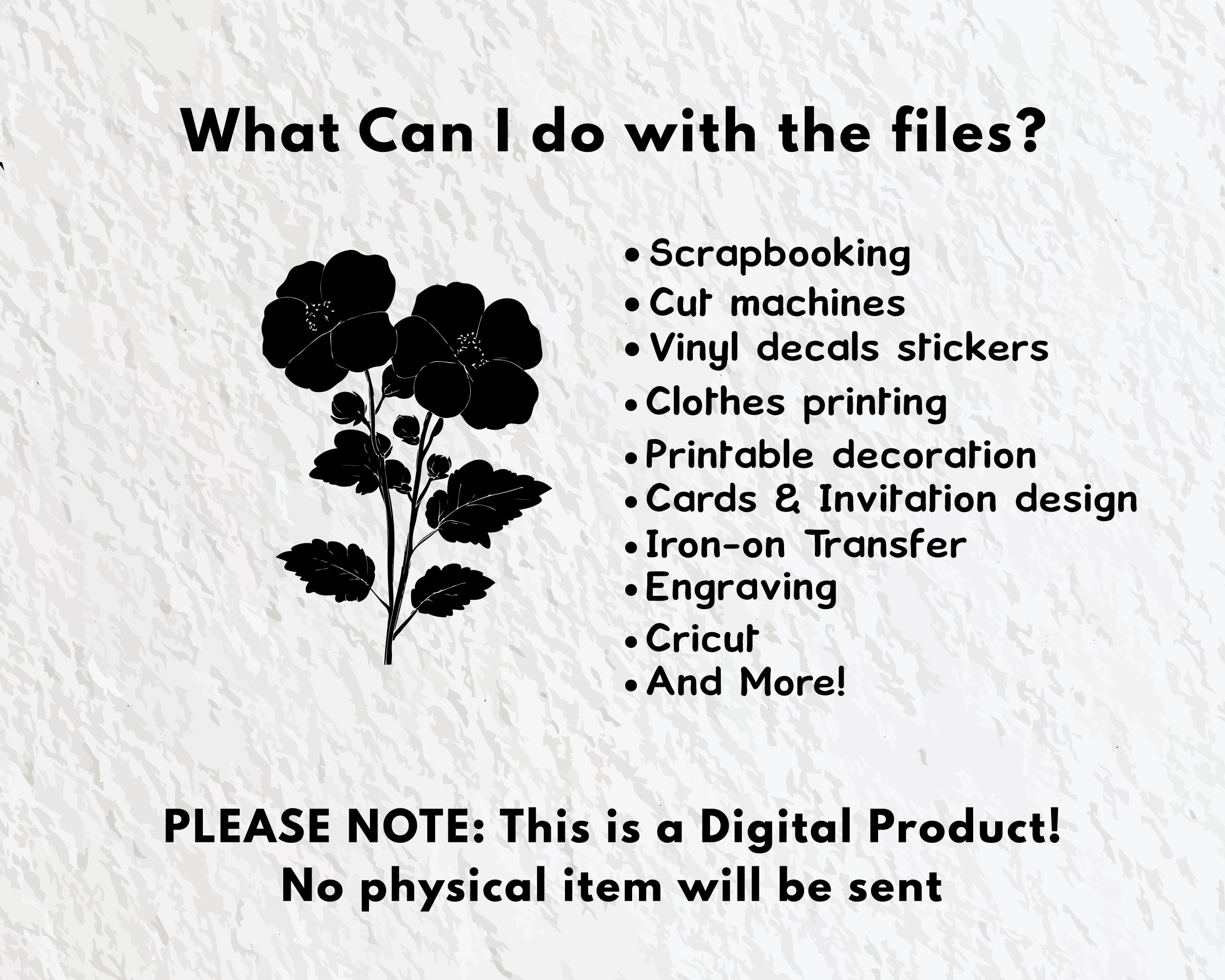 Primrose Svg Bundle, Primrose Silhouette, Primrose Clipart Png ...