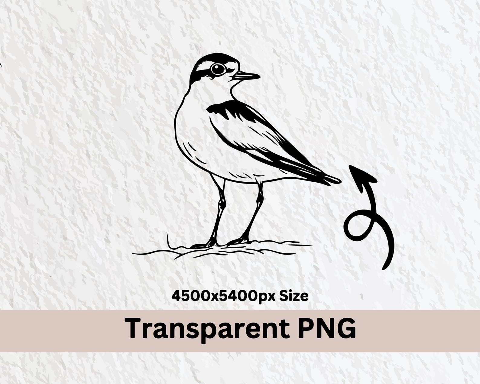 Plover Silhouette SVG Bundle: Bird Clipart, Decal, Vector (digital ...