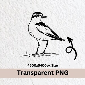 Plover Silhouette SVG Bundle: Bird Clipart, Decal, Vector (digital ...