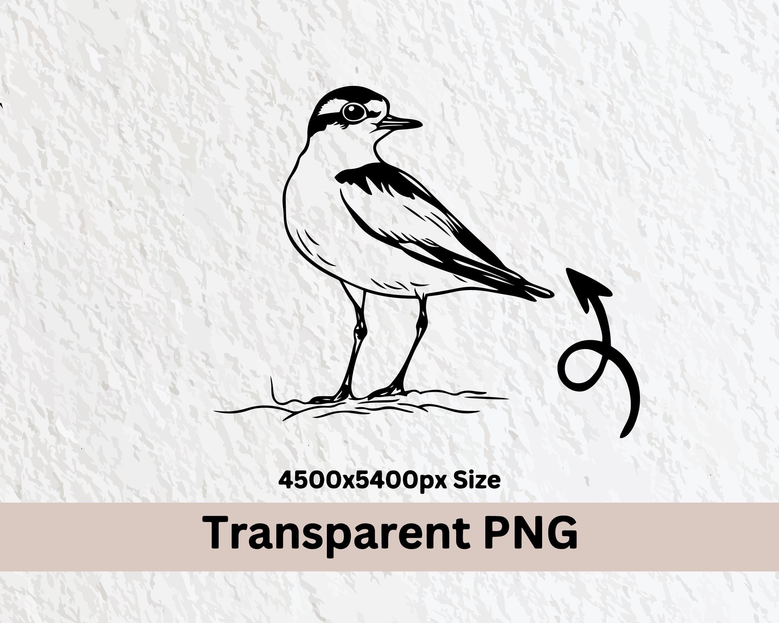 Plover Silhouette Svg, Plover Svg Bundle, Plover Breed Clipart, Plover ...
