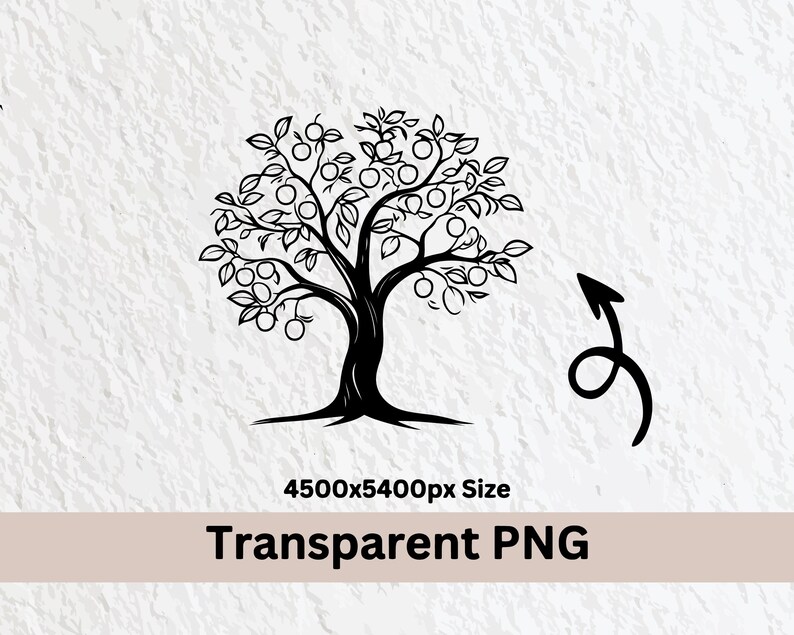 Peach Tree Svg Bundle, Peach Tree Silhouette, Peach Tree Clipart Png ...