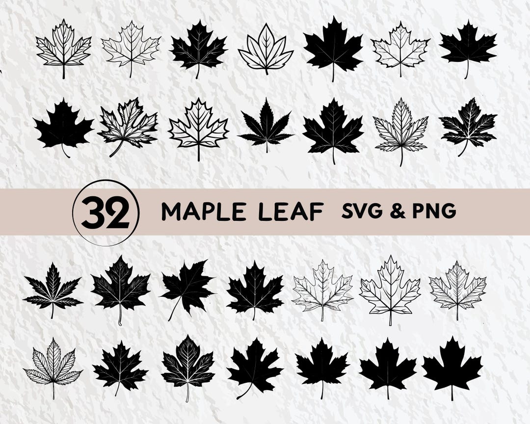 Maple Leaf SVG Bundle: Silhouette Clipart, Vector Cut Files (PNG) - Etsy