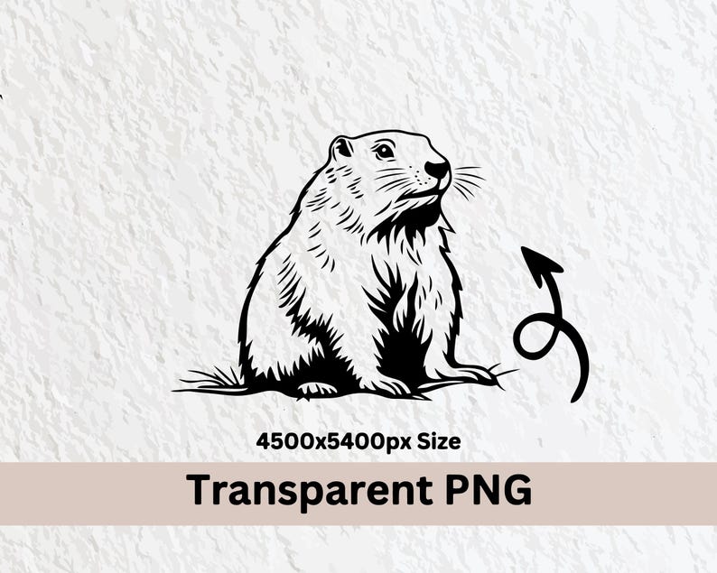 Groundhog Svg Bundle, Groundhog Silhouette, Groundhog Clipart Png ...