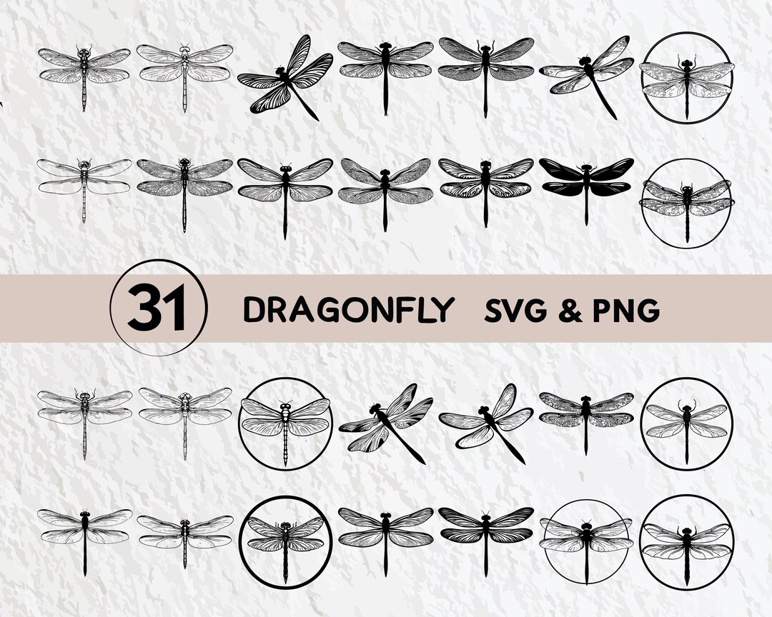 Dragonfly Svg Bundle, Dragonfly Silhouette, Dragonfly Clipart Png ...