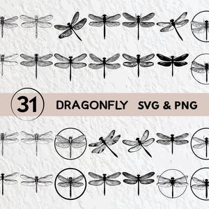 Dragonfly Svg Bundle, Dragonfly Silhouette, Dragonfly Clipart Png, Dragonfly Outline, Dragonfly ...