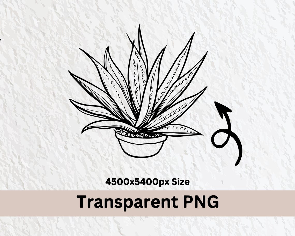 Aloe Vera Svg, Aloe Vera Silhouette Bundle, Aloe Vera Clipart, Aloe ...