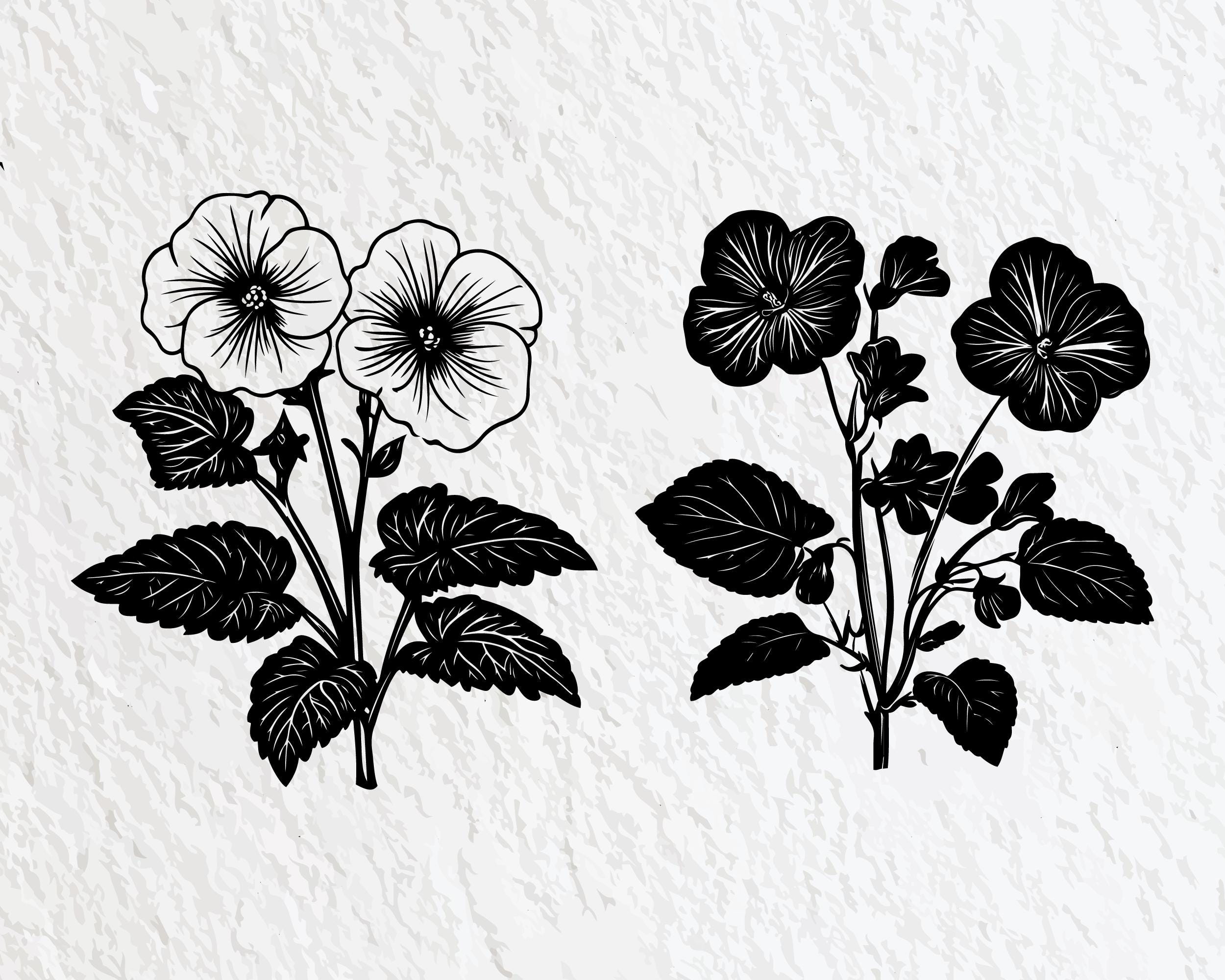 Primrose Svg Bundle, Primrose Silhouette, Primrose Clipart Png ...