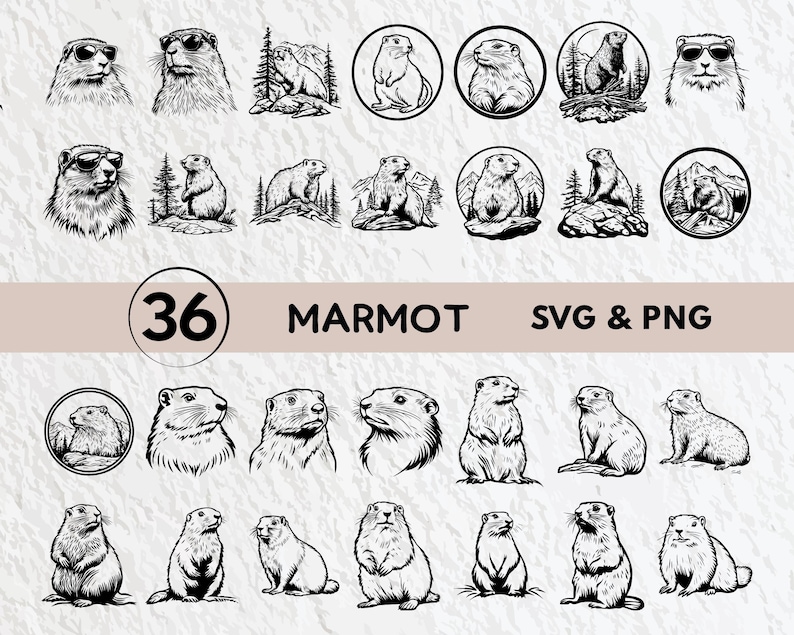 Marmot Svg Bundle, Marmot Silhouette, Marmot Clipart Png, Marmot Vector ...