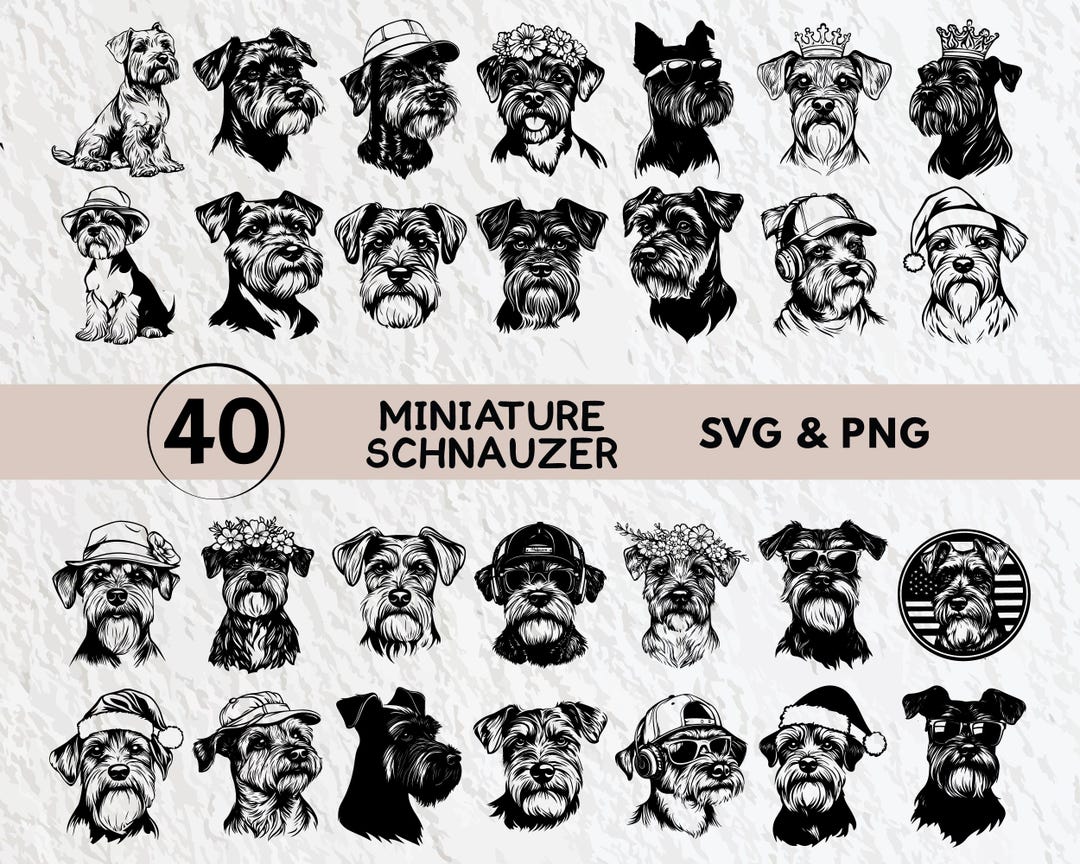 Miniature Schnauzer SVG Bundle: 40 Dog Designs (PNG, SVG) - Etsy