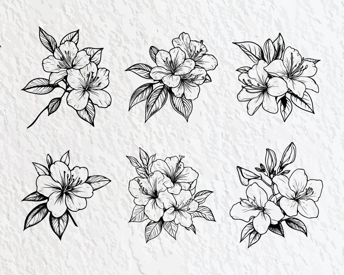 Azalea Flower SVG Bundle: Silhouette, Clipart, Vector (digital Download ...
