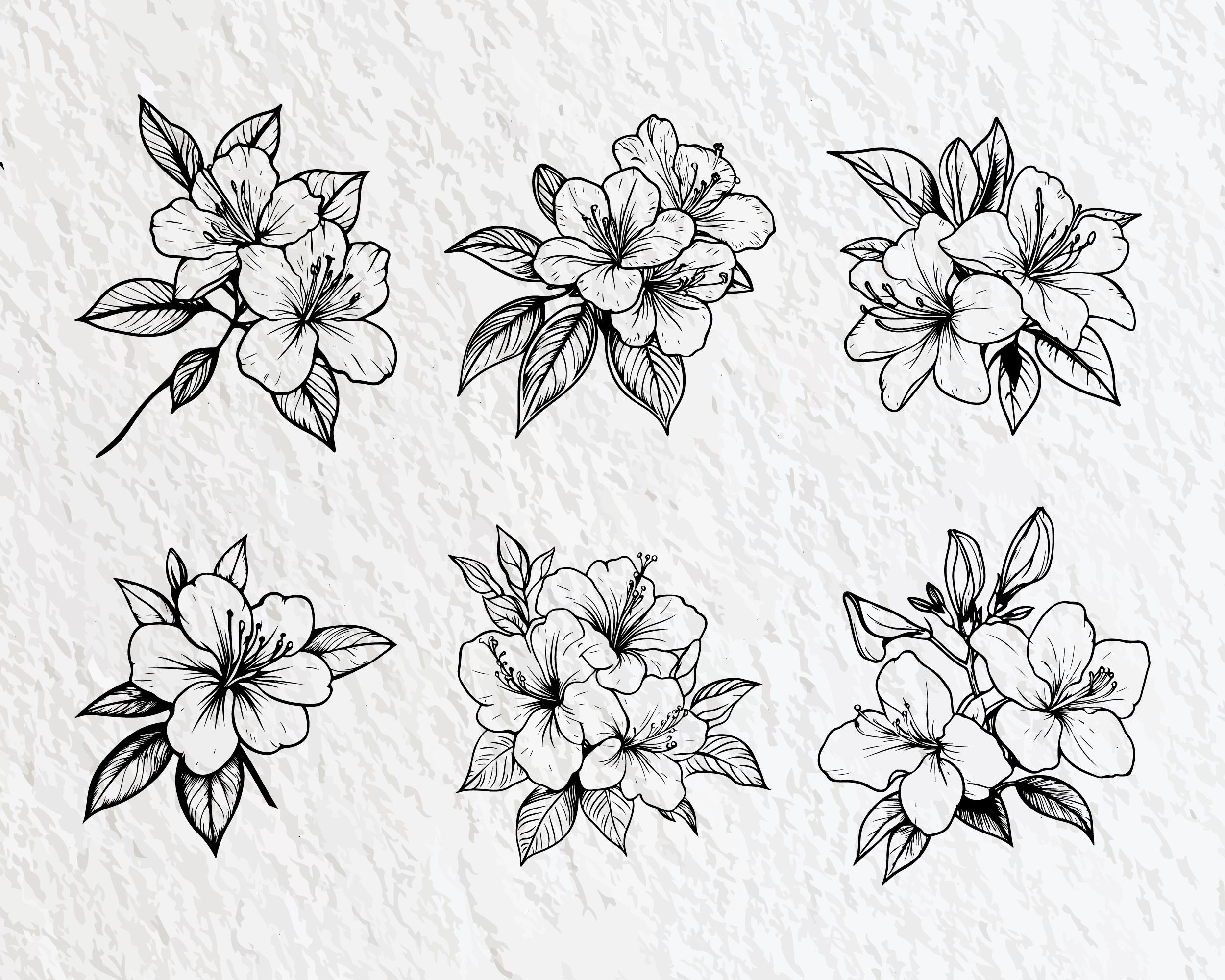 Azalea Flower SVG Bundle: Silhouette, Clipart, Vector (digital Download ...