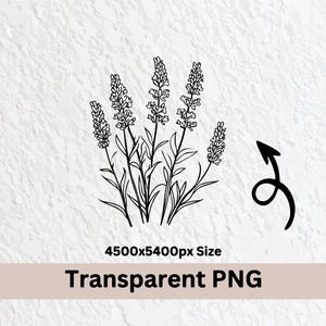 Lavender Flower SVG Bundle: Floral Clipart, Vector Logo (digital ...