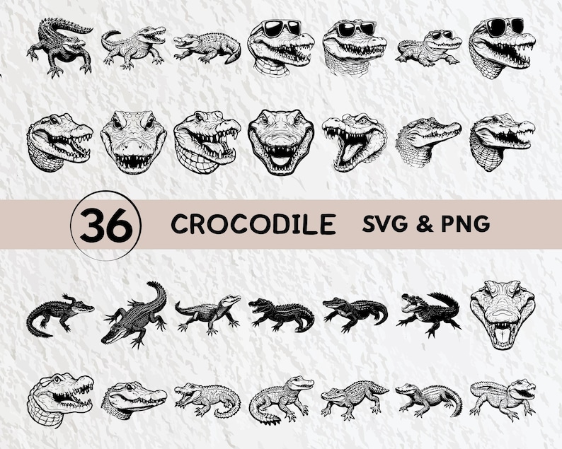 Crocodile Svg Bundle, Crocodile Silhouette, Crocodile Clipart Png ...