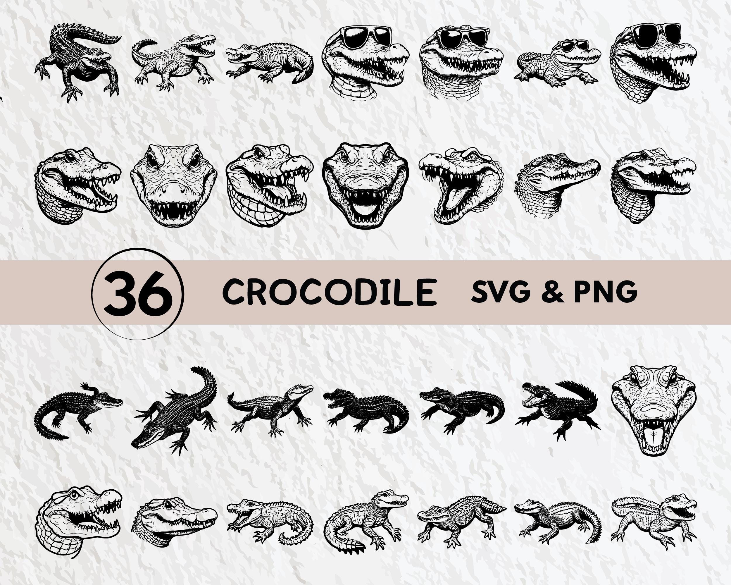 Crocodile Svg Bundle, Crocodile Silhouette, Crocodile Clipart Png ...