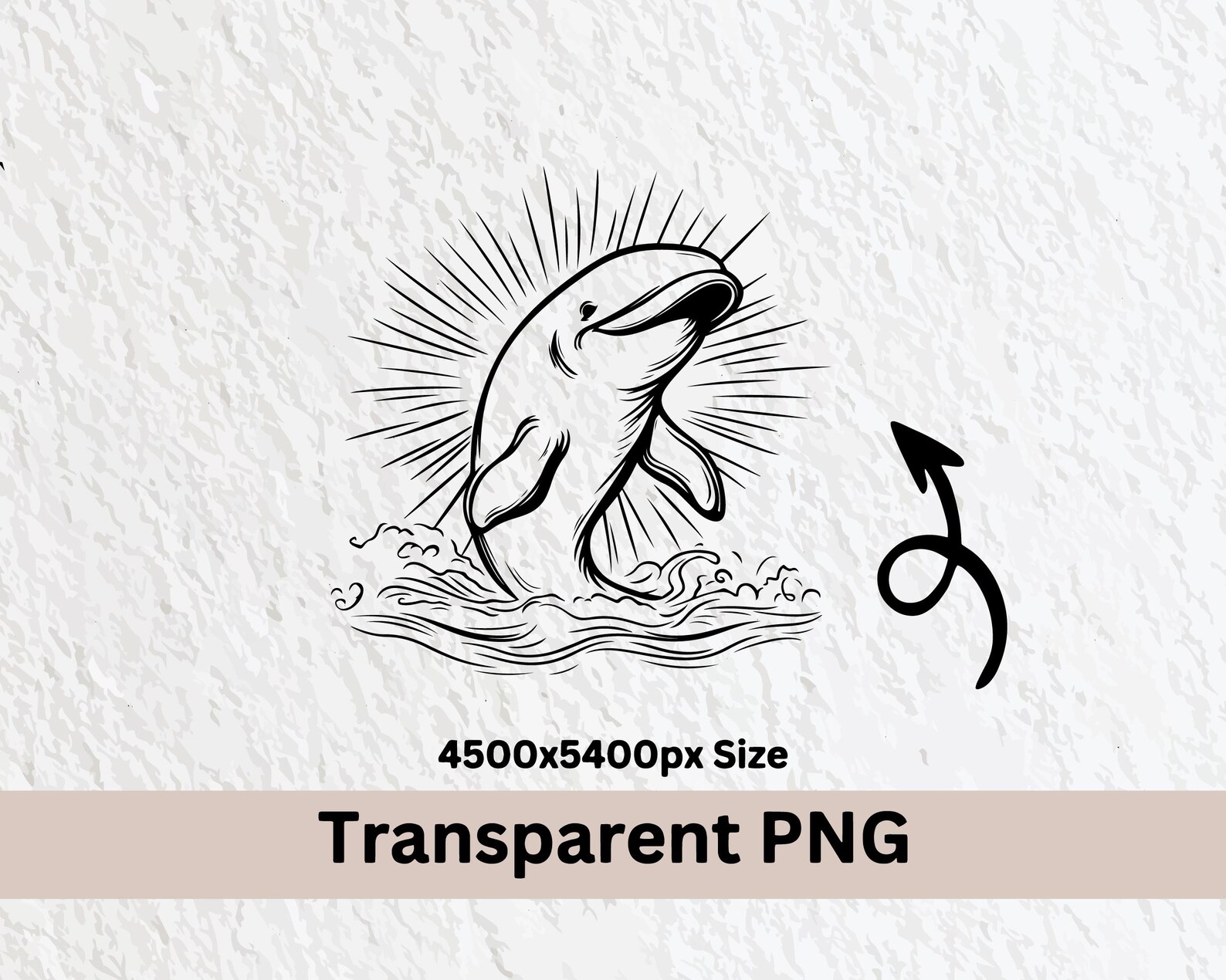 Beluga Whale SVG Bundle: Silhouette Clipart, Cricut Cut Files (PNG ...