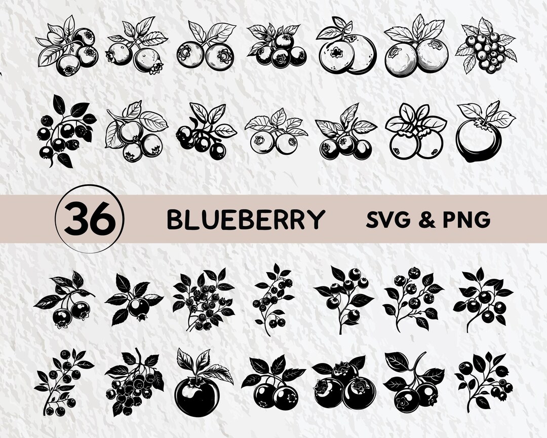 Blueberry SVG Bundle: Clipart, Silhouette, Vector Graphics - Etsy Australia