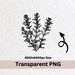 Rosemary SVG Bundle: Logo Icon Vector Clipart (PNG, Cricut, Decal) - Etsy