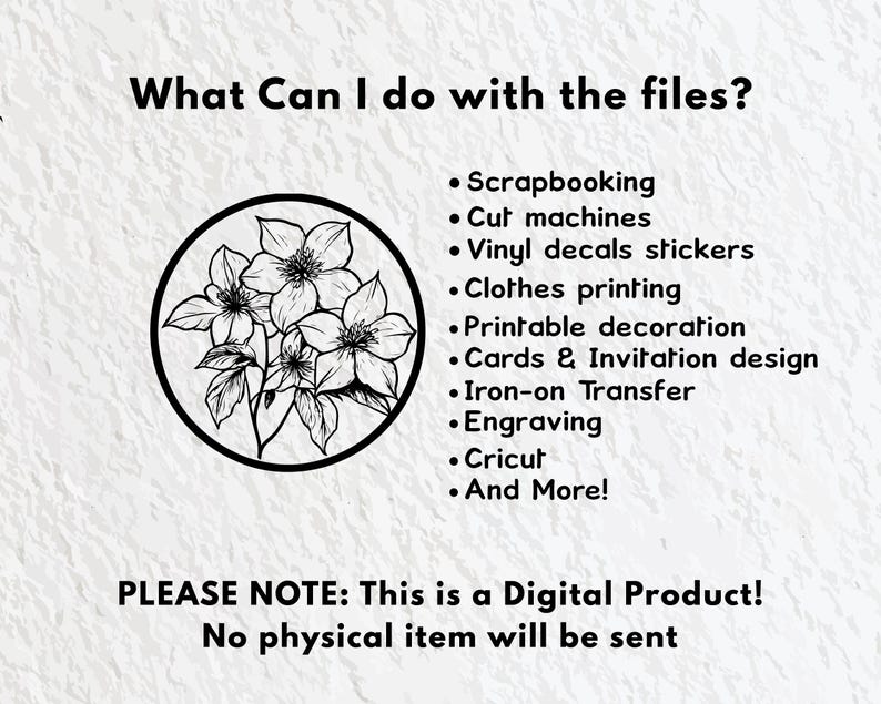 Clematis SVG Bundle: Floral Silhouette, Clipart, Vector (digital ...
