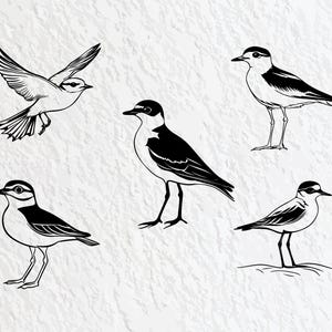 Plover Silhouette SVG Bundle: Bird Clipart, Decal, Vector (digital ...