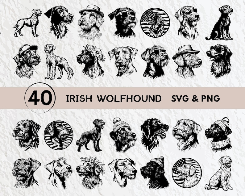 Irish Wolfhound Svg Bundle, Irish Wolfhound Silhouette, Irish Wolfhound ...